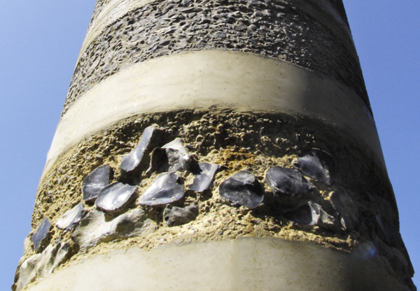 CORE SAMPLE, MATRIX REVEALED